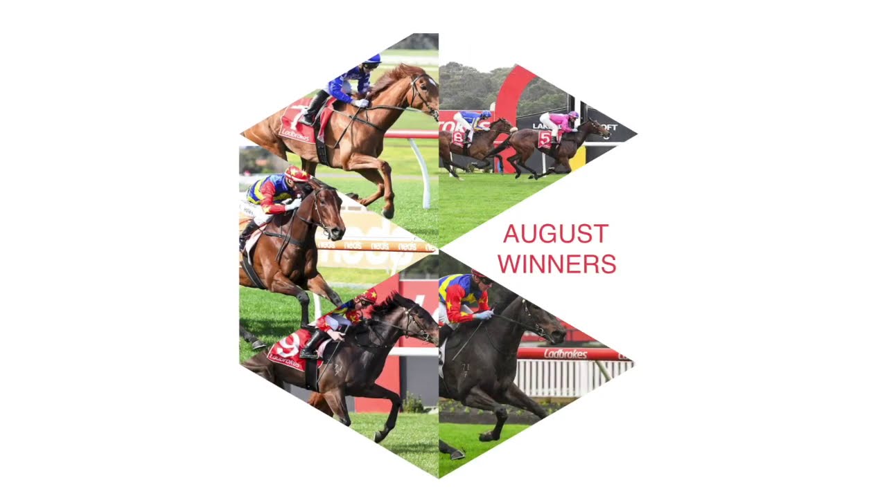 AUGUST WINNERS - YouTube