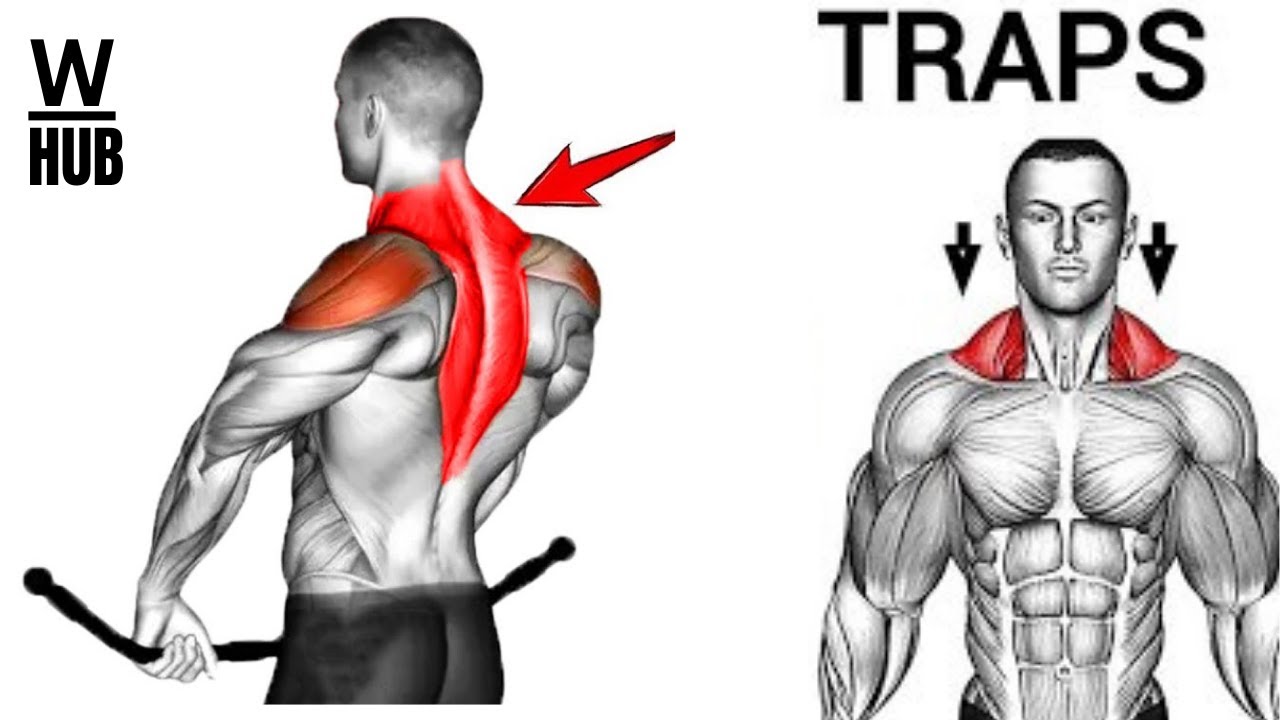 Trapezius Workout At Home. Shoulder, Neck ,Back Exercise - YouTube