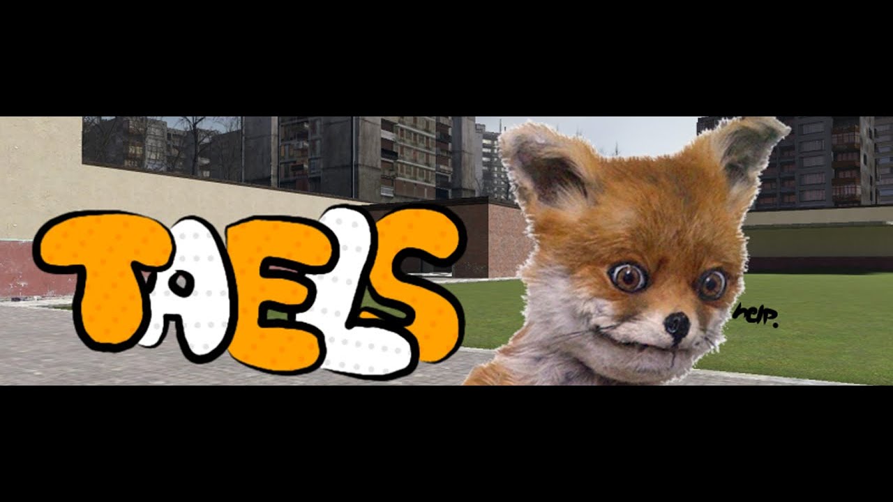 Racoon - FNF Sanic Funkin V1 Song Showcase - YouTube