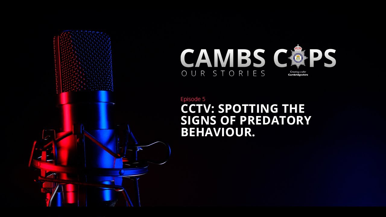 Spotting the signs of predatory behaviour - YouTube