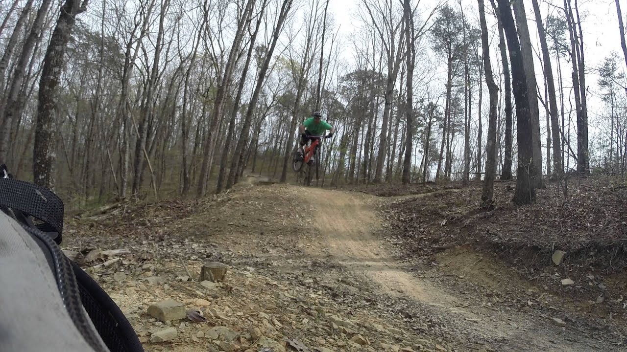 White Oak Biology Trail Collegedale TN Cottontail - YouTube