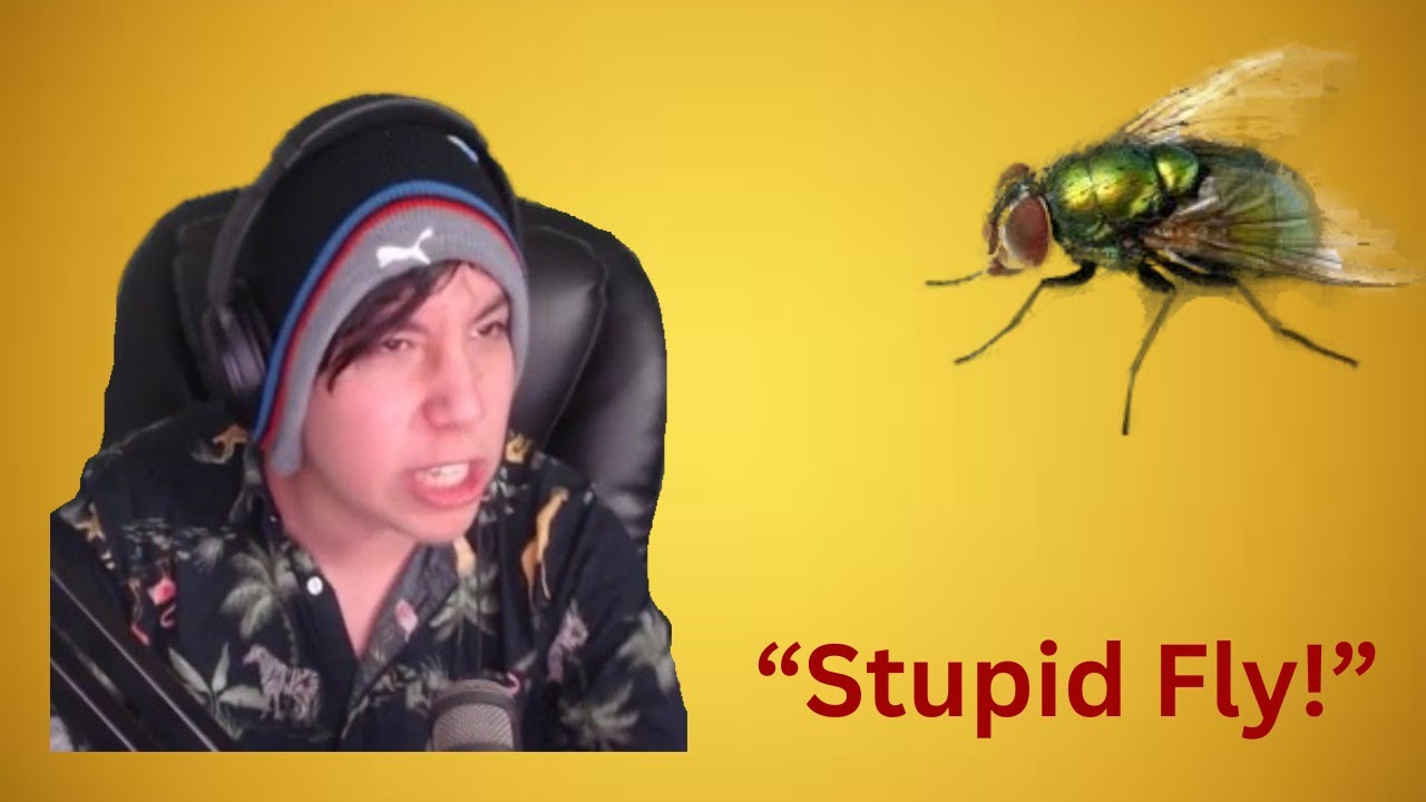 Quackity Getting Mad At A Fly - YouTube