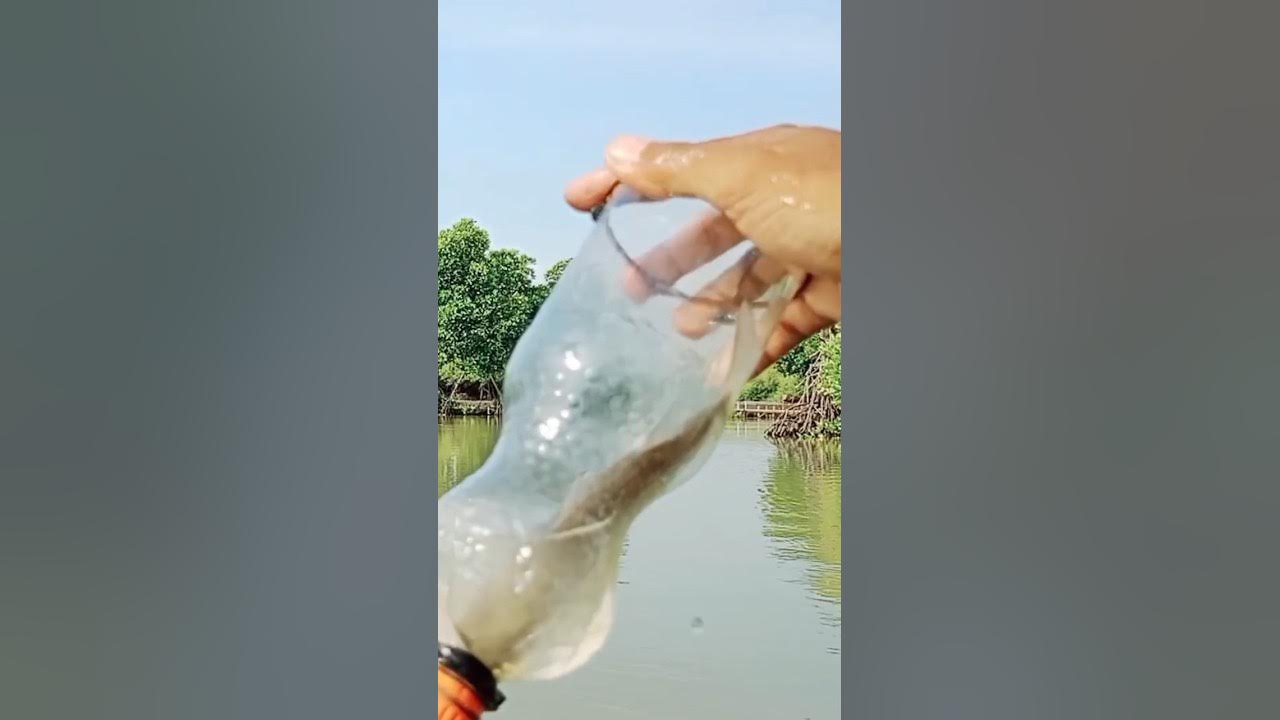 MANCING BELANAK PAKAI BOTOL FANTA #shorts #mancingikanbelanakpakebotol #mancingmania - YouTube
