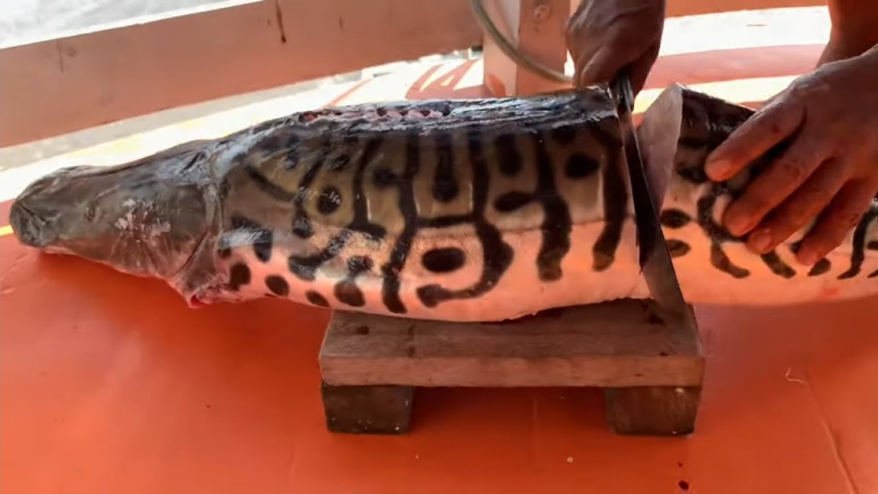 SABOROSA CALDEIRADA DE SURUBIM FEITA NO BARCO/AMAZONAS/LAGO AMANÃ ...