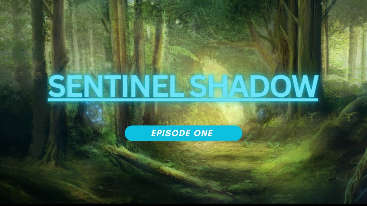 Sentinel Shadow! Episode 1 (Dnd Campaign) - YouTube