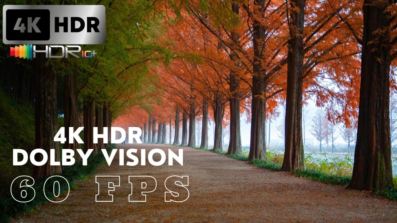 Dolby Vision 4K | HDR10+ Demo - YouTube