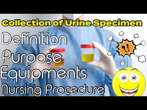 COLLECTION OF URINE SPECIMEN || Fundamental Nursing Procedure || How to ...