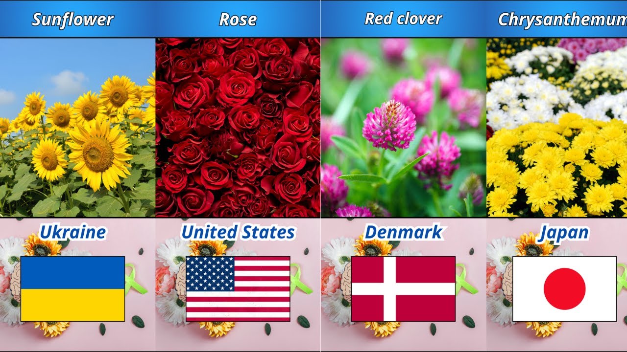 Countries and Their National Flower Symbols | A Blooming World of ...