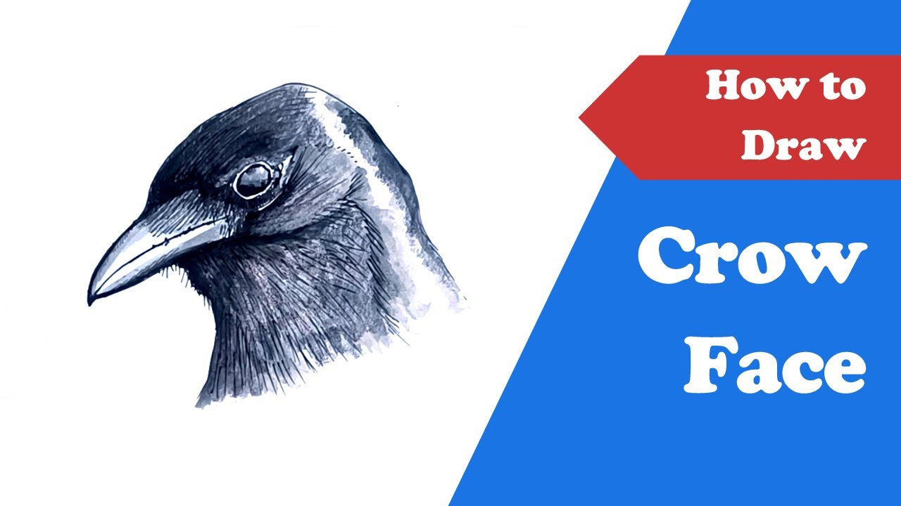 Drawing a Crow Face Made Easy Unleash Your Inner Artist ️🐦‍⬛ | # ...