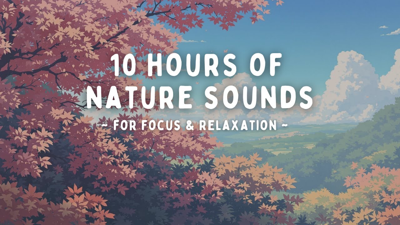 10 Hours of Relaxing Nature Sounds for Stress Relief & Focus 😌🌿 (no ...