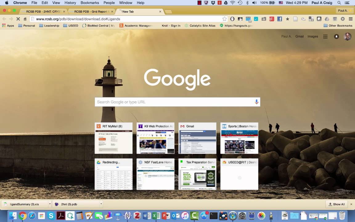 PyRX ligand docking tutorial - YouTube