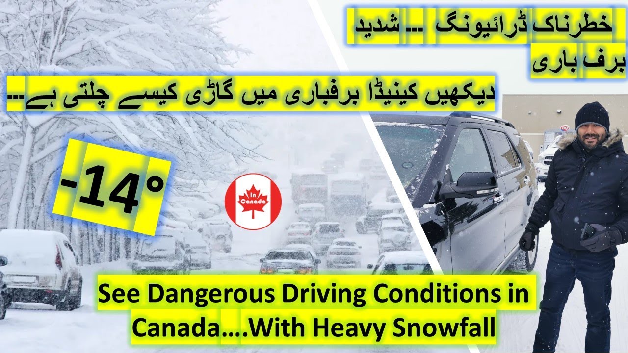 Heavy Snowfall in Calgary Alberta Canada November 2022 | snow storm ...