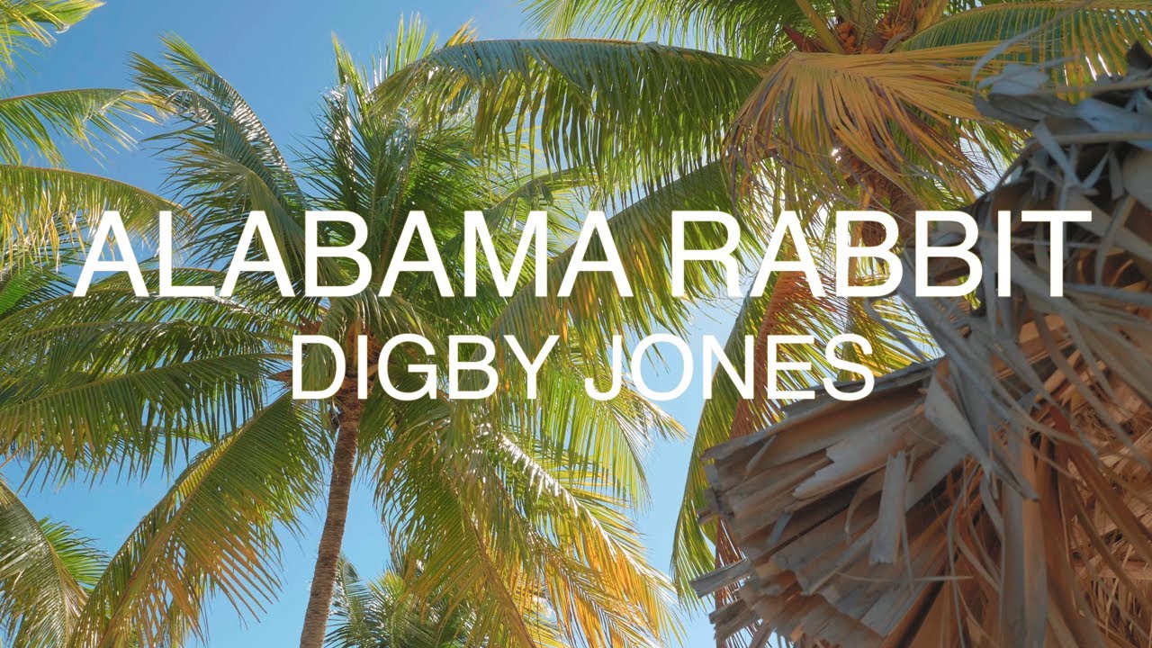 Digby Jones - Alabama Rabbit - YouTube Music