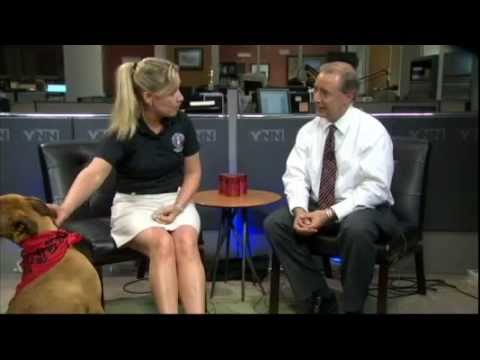 Pet of the Week: Ajax - Lauralei Combs on YNN - YouTube