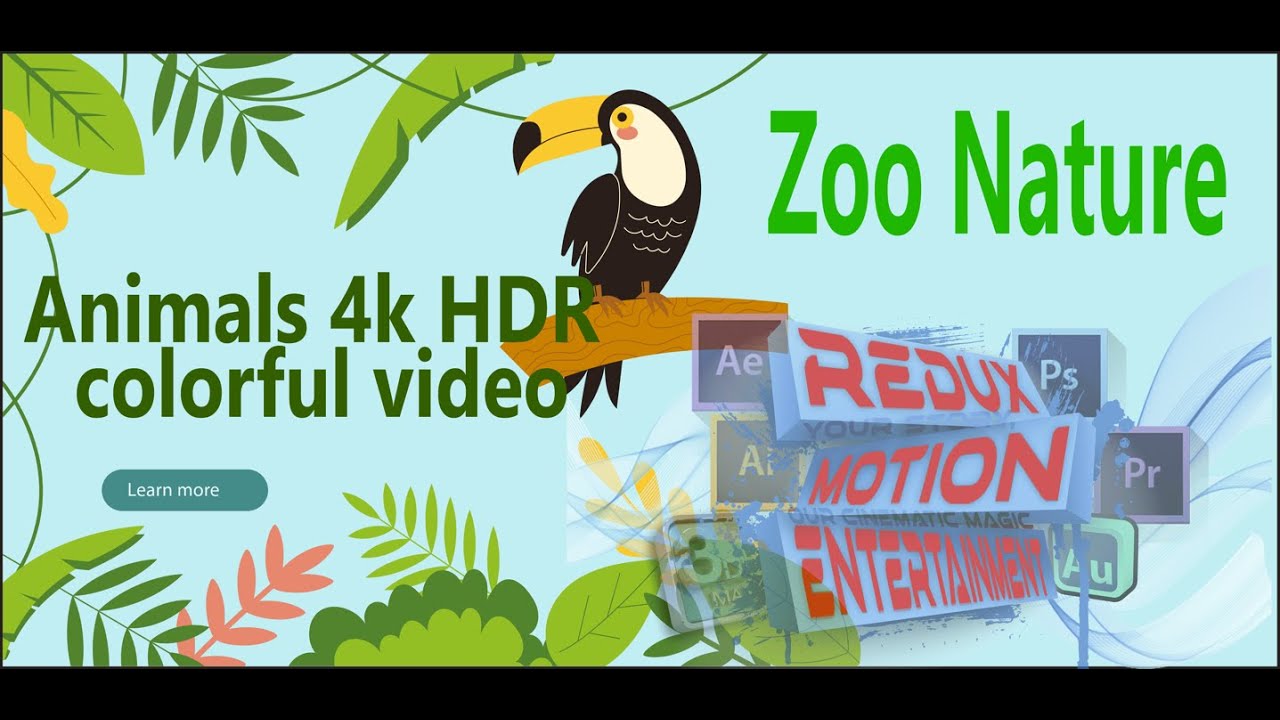 Zoo Animals Snap Shots.. 4k HDR colorful video #animals #zoo #nature ...