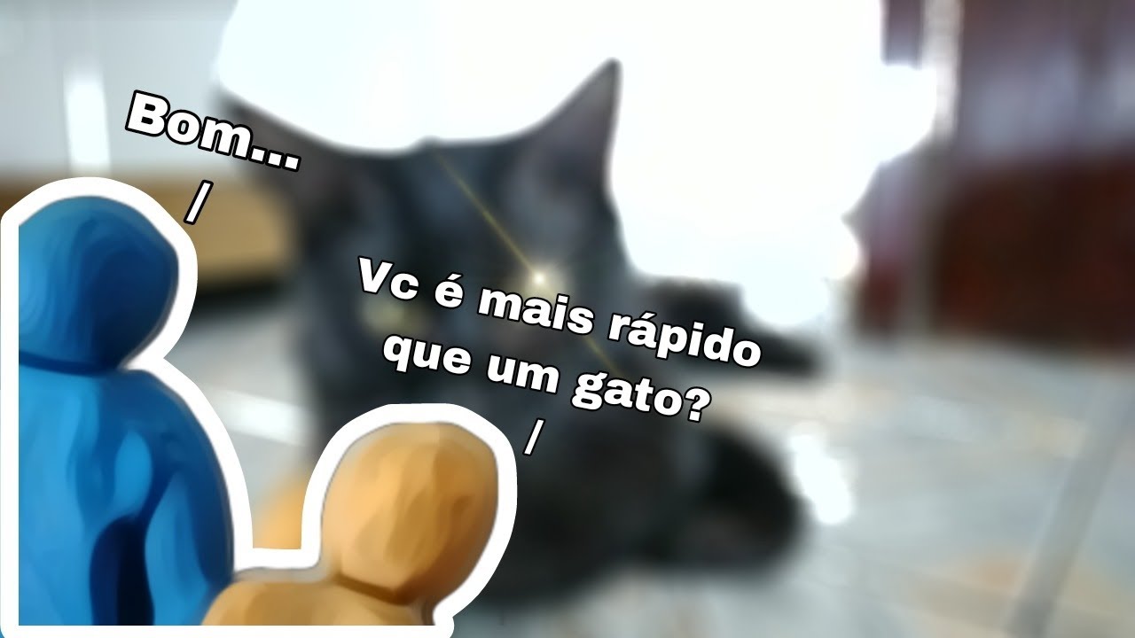 Eu Acho Que Eu Vi Um Gatinho Youtube