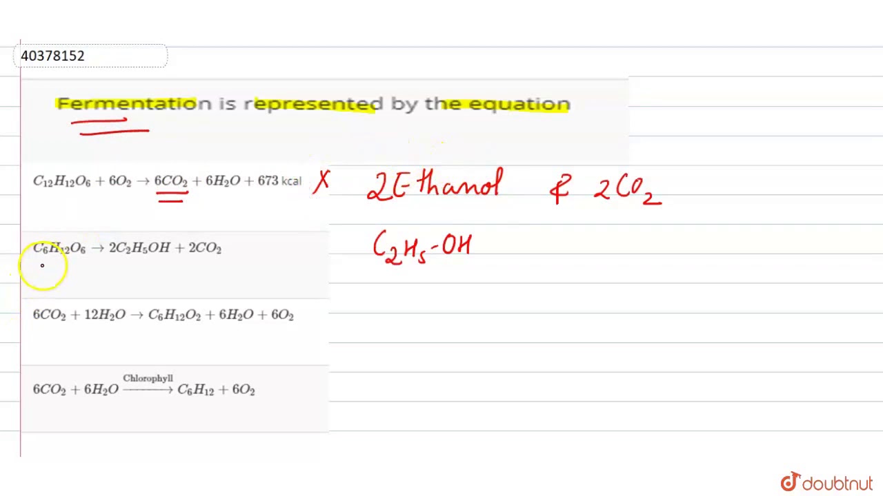 Fermentation Equation