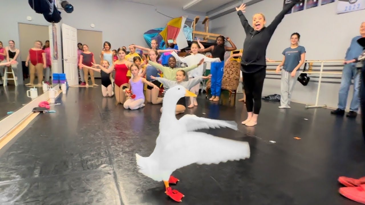 I took my duck to Dance Class - YouTube