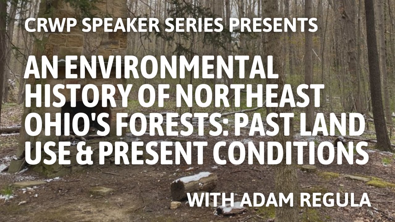 An Environmental History of Northeast Ohio’s Forests: Past Land Use ...