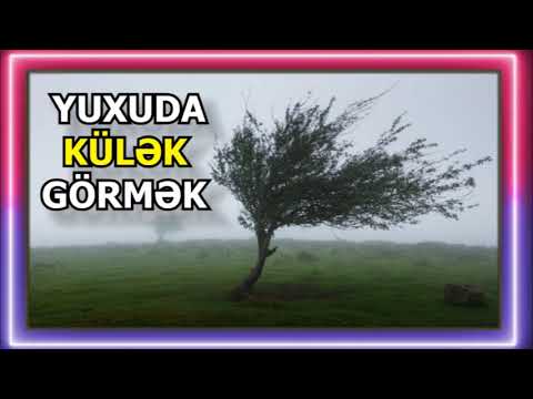 Külək yuxu yozma - yuxuda kulek gormek