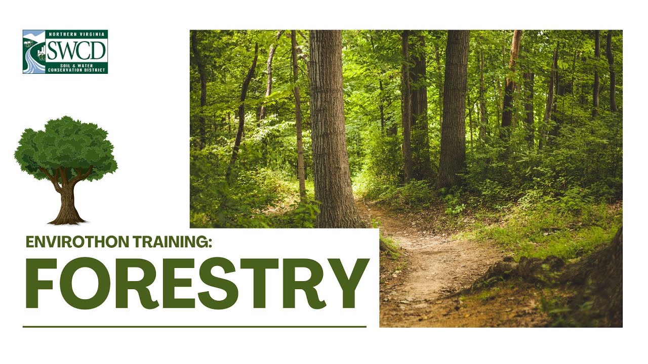 Forestry Training - 2024 Envirothon - YouTube