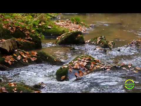 Relaxion - Relaxing Sound of Flowing Water - Stress Reliever ...