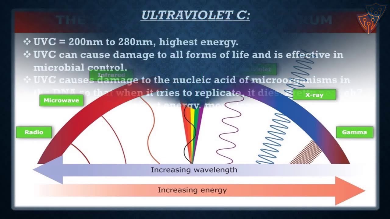 WHAT IS ULTRA VIOLET (UV) LIGHT? - YouTube