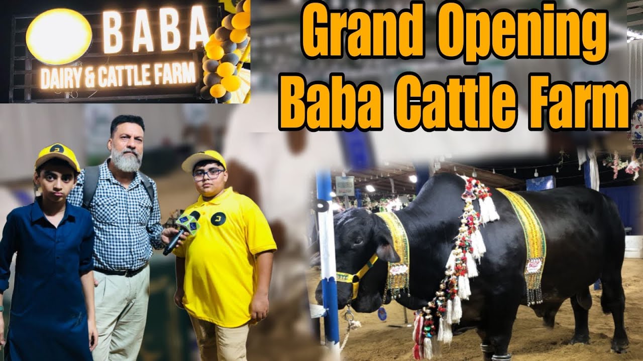 Baba Cattle farm super high way new maweshi mandi - YouTube