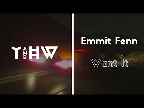 Emmit Fenn - Want It