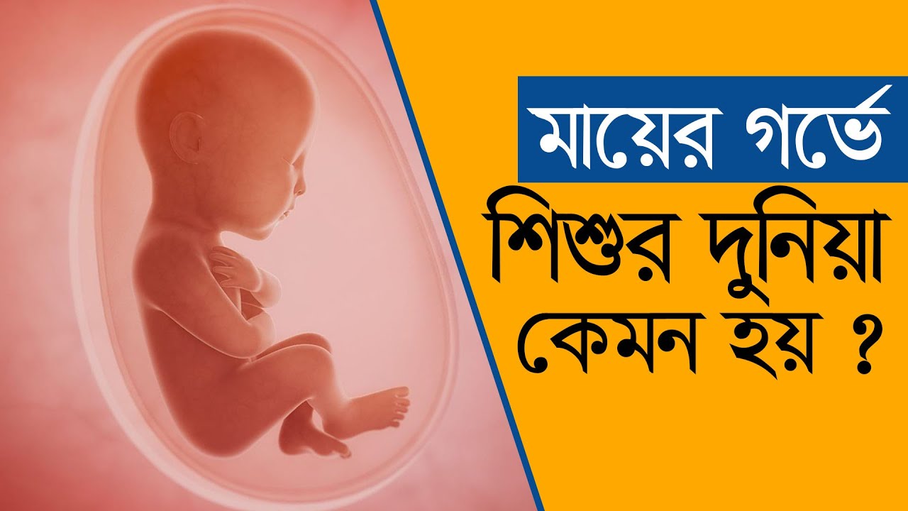 Pregnancy Week By Week Baby Movement In Pregnancy Doctor Chamber pregnancy-week-by-week-baby-movement-in-pregnancy-doctor-chamber