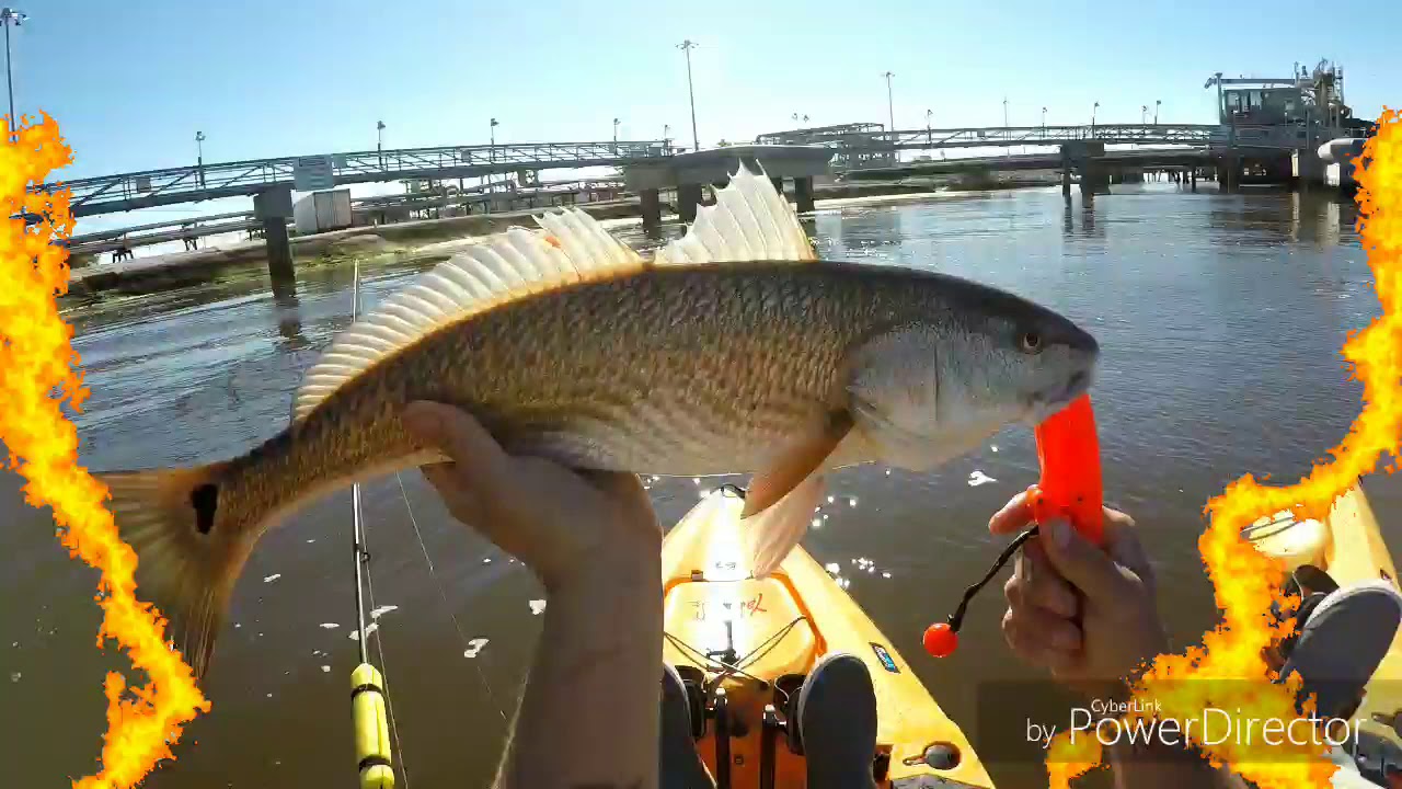 Mississippi Redfish Madness - YouTube