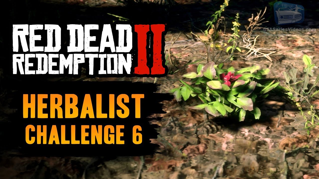 Red Dead Redemption 2 Herbalist Challenge #6 Guide - Pick 15 different ...