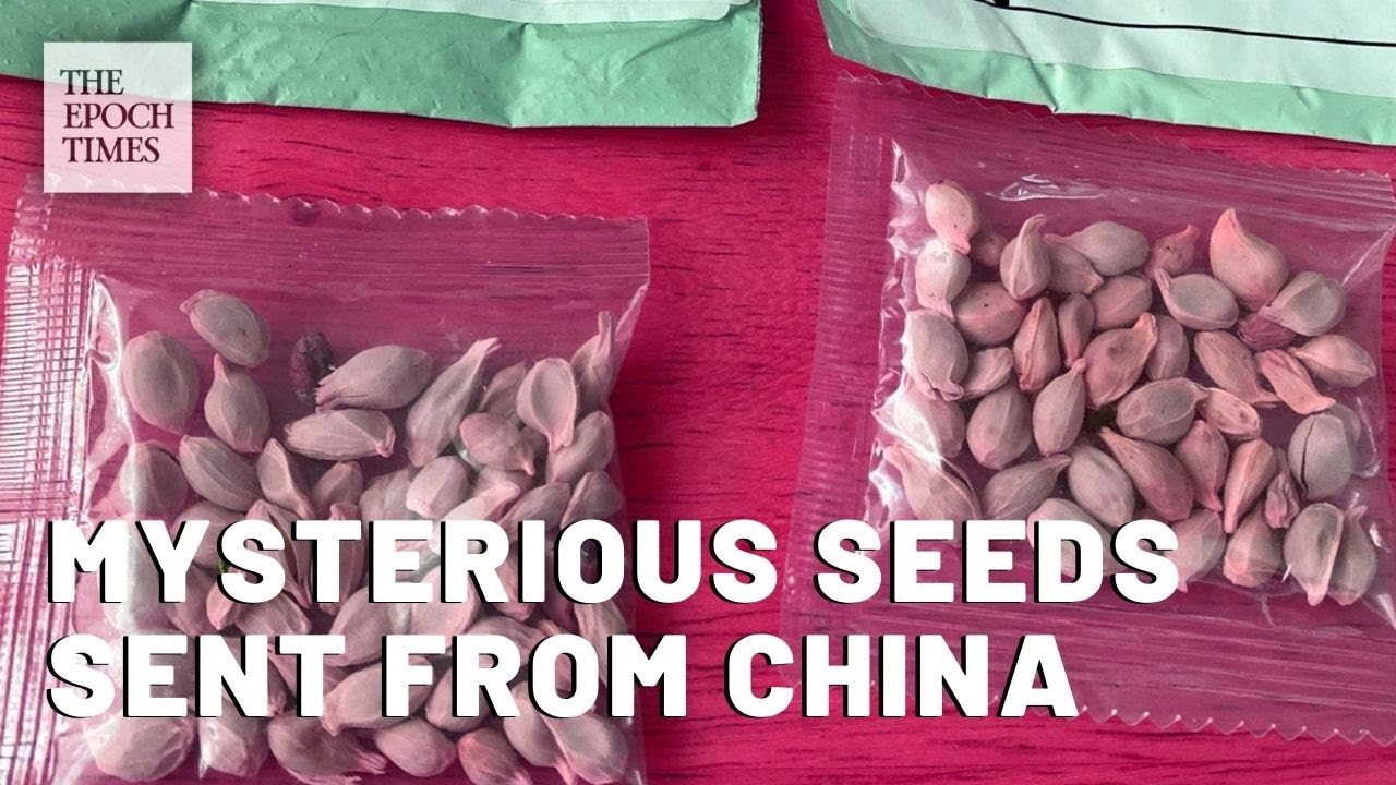 US Residents Received Unsolicited Packages of Mystery Seeds From China ...