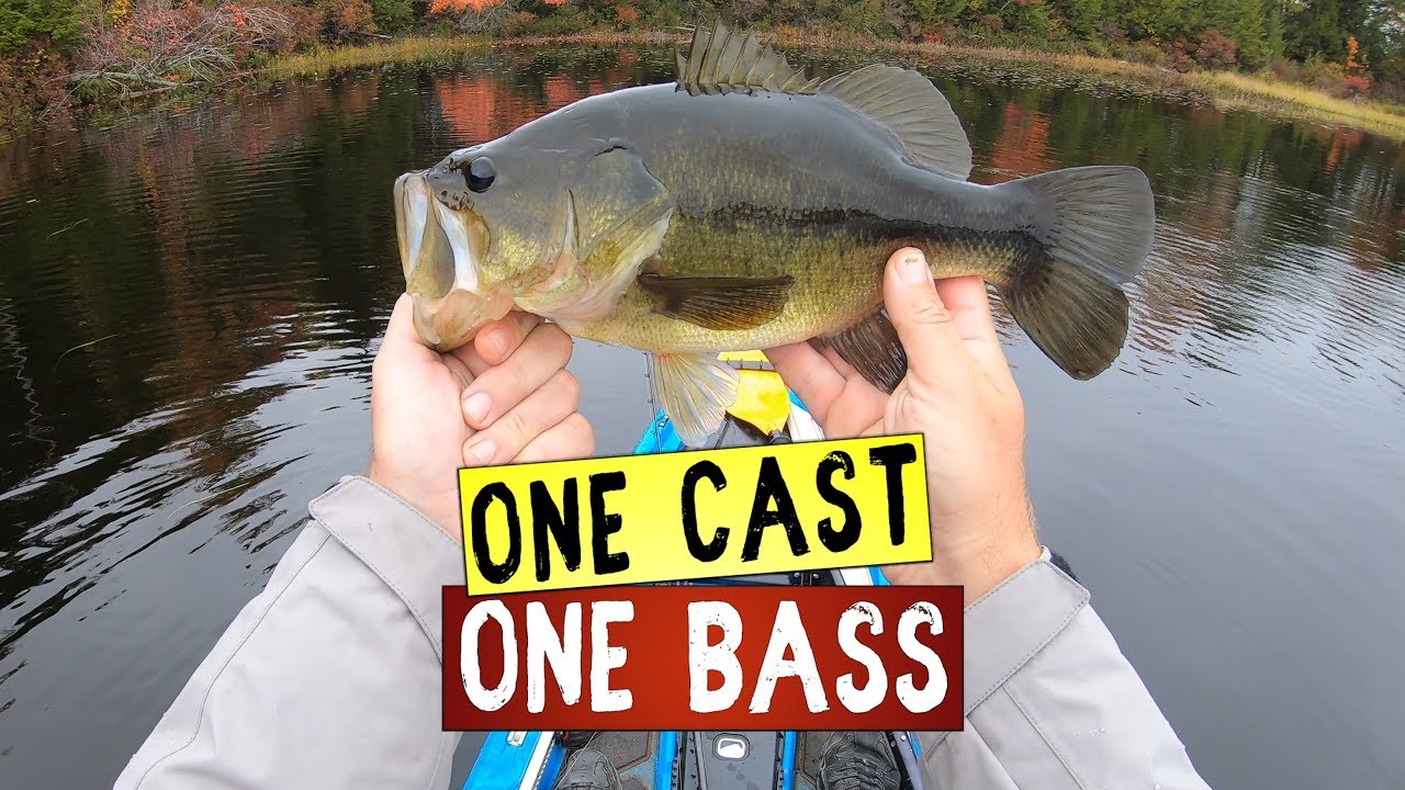 Funny Looking Bass Caught On MS Slammer - Cast To Catch - YouTube