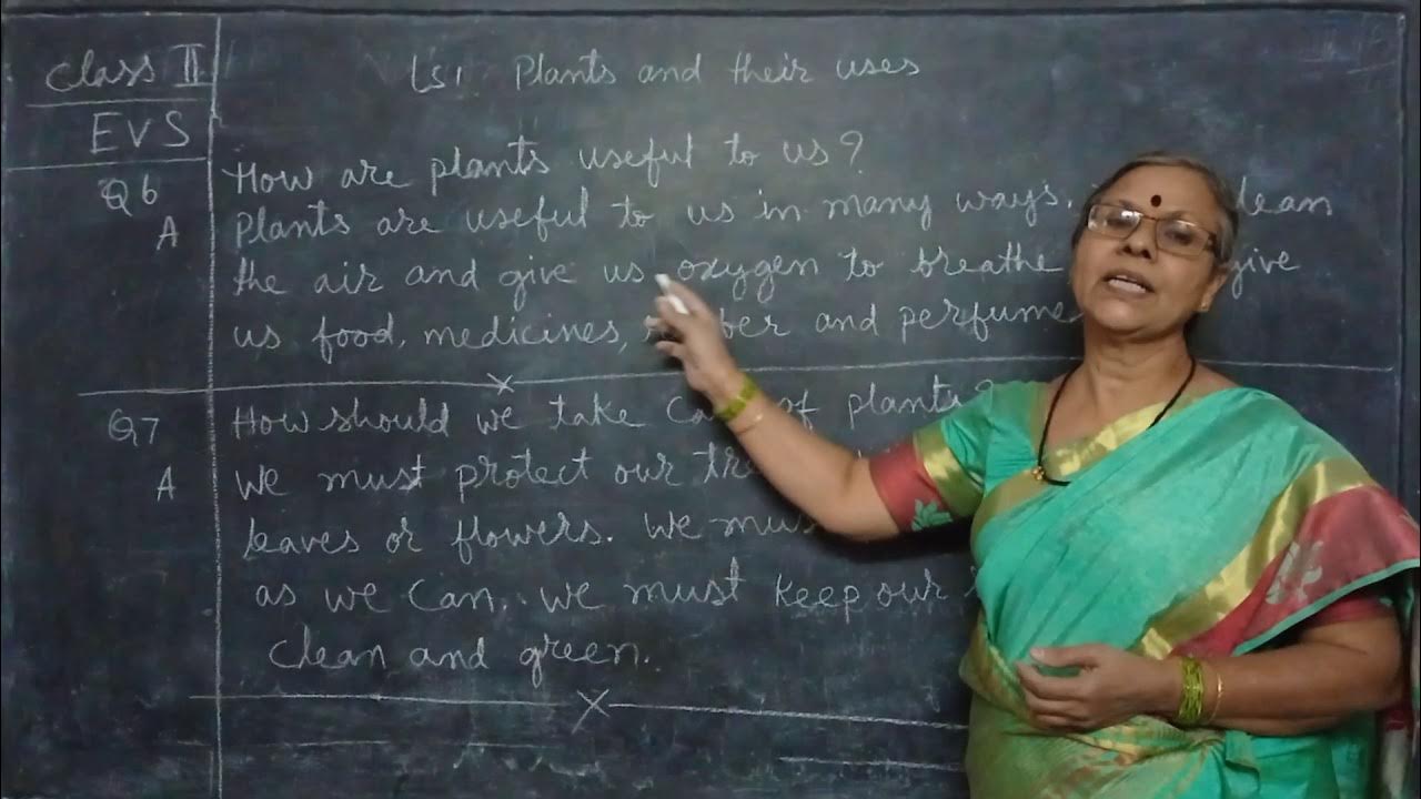Video 6 Class 2 Subject E V S Lesson 1 Q 4 5 6 And 7 Answers YouTube video-6-class-2-subject-e-v-s-lesson-1-q-4-5-6-and-7-answers-youtube