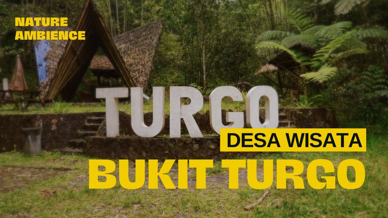 NATURE AMBIENCE | DESA WISATA BUKIT TURGO - YouTube