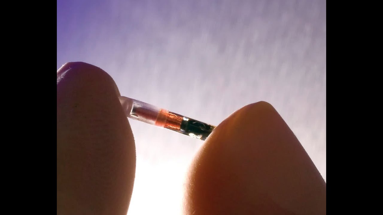 First money transfer to MICROCHIP IN HUMAN HAND! Revelation unfolding ...