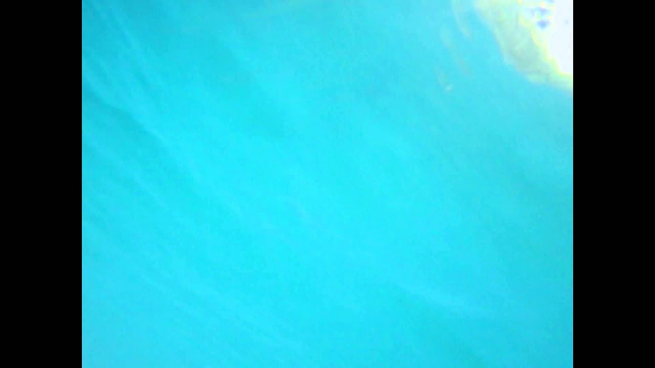 Fishing for the Beardslee Trout on Lake Crescent 2013 - YouTube