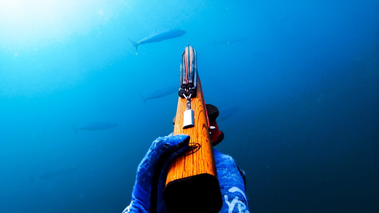 Spearfishing Is The Most Sustainable Way To Harvest Food (We Made Our ...