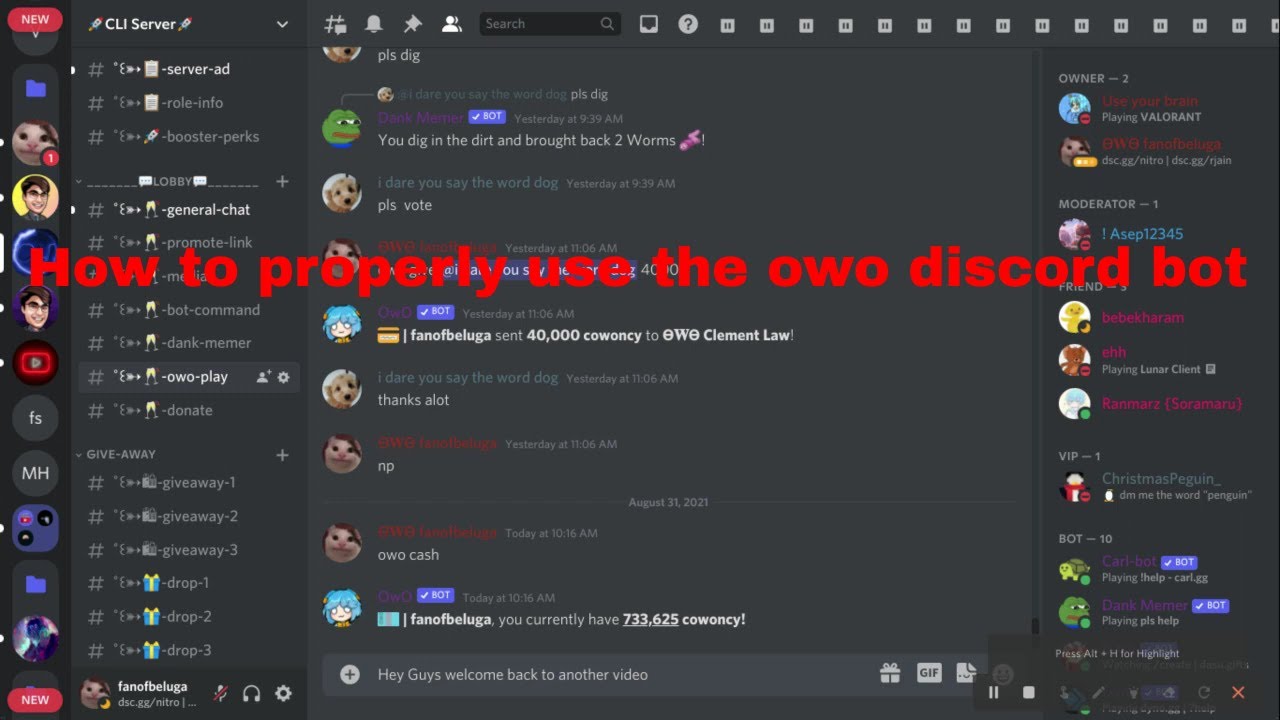 How to use the owo bot! - YouTube