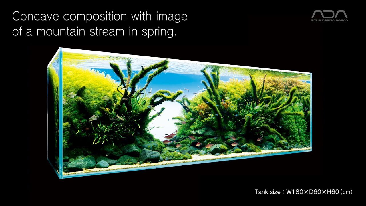 [ADAview] Concave composition with image of a mountain stream in spring ...