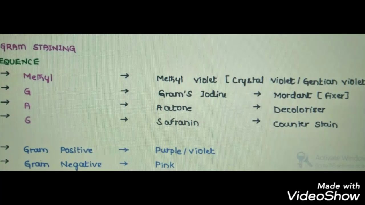 Useful tricks and mnemonics for bacteriology in microbiology - YouTube
