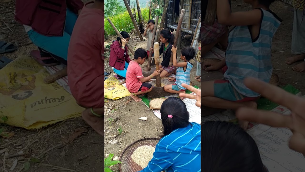 Pagbabayo ng palay with Buhid Mangyan kiddo's 😍 - YouTube