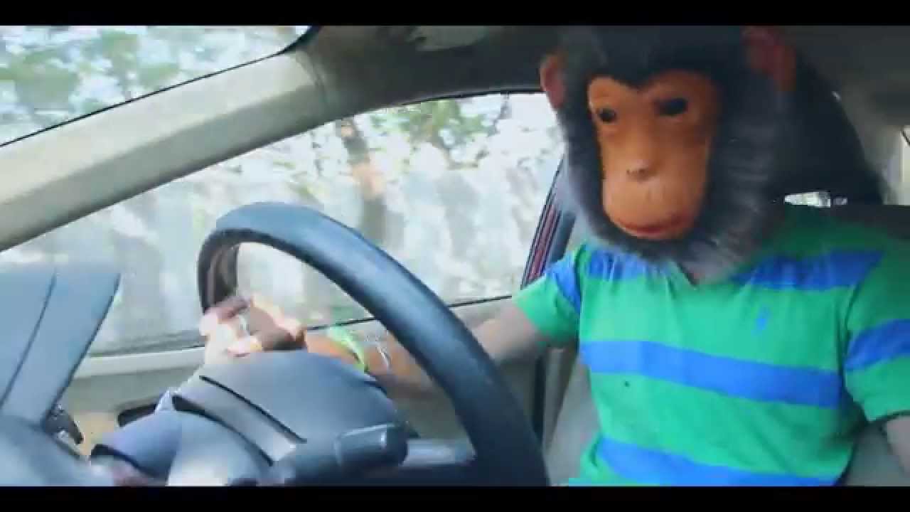 Don't be a monkey campaign Ad -1 - YouTube