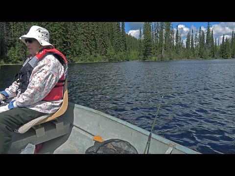 Nicklen Lake Fishing - YouTube