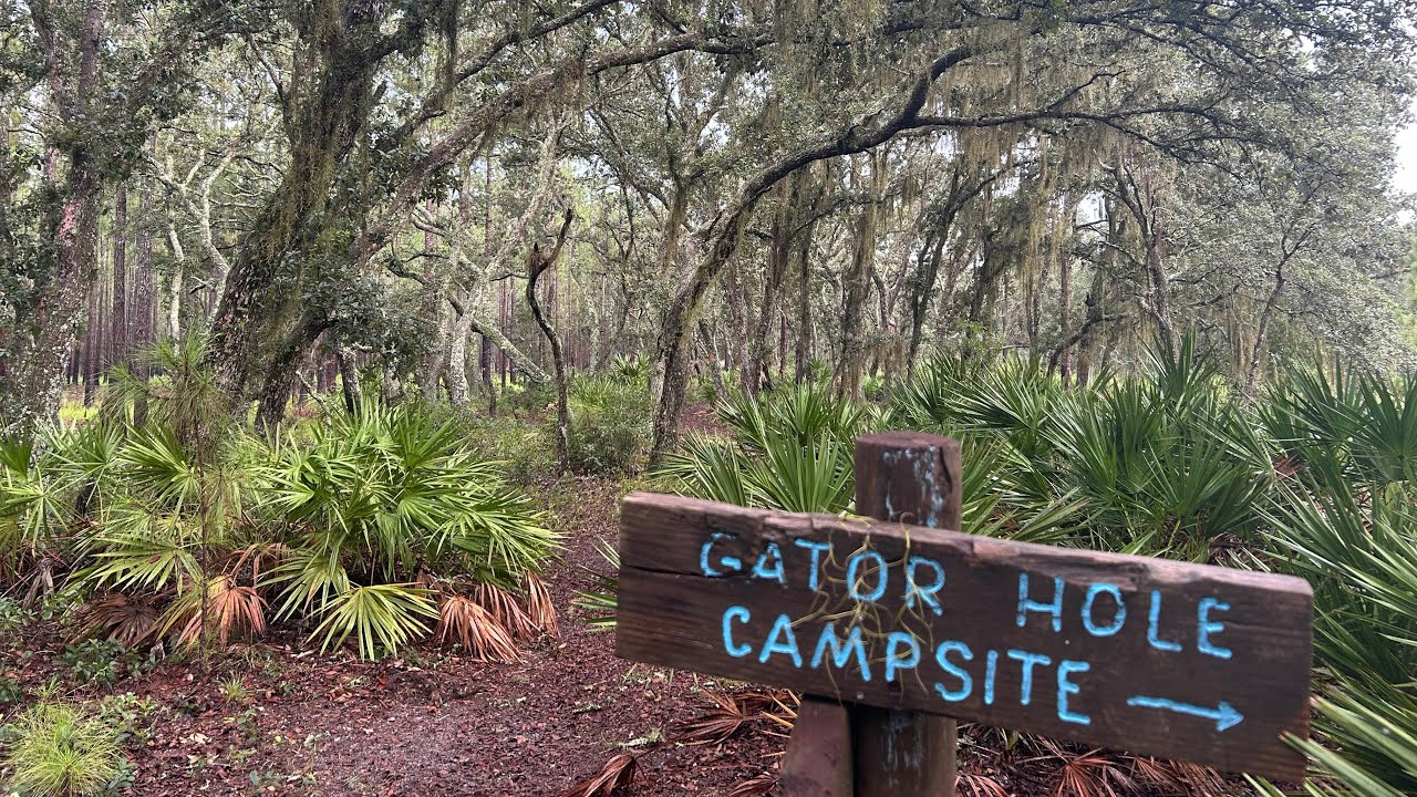 Swamp hike to gator hole - YouTube