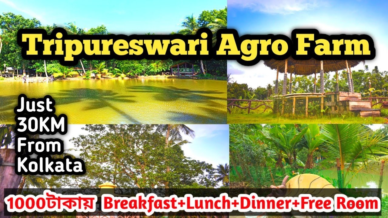 Tripureswari Agro Farm Resort | একদিনের ছুটি কাটাতে ঘুরে আসুন | One day ...