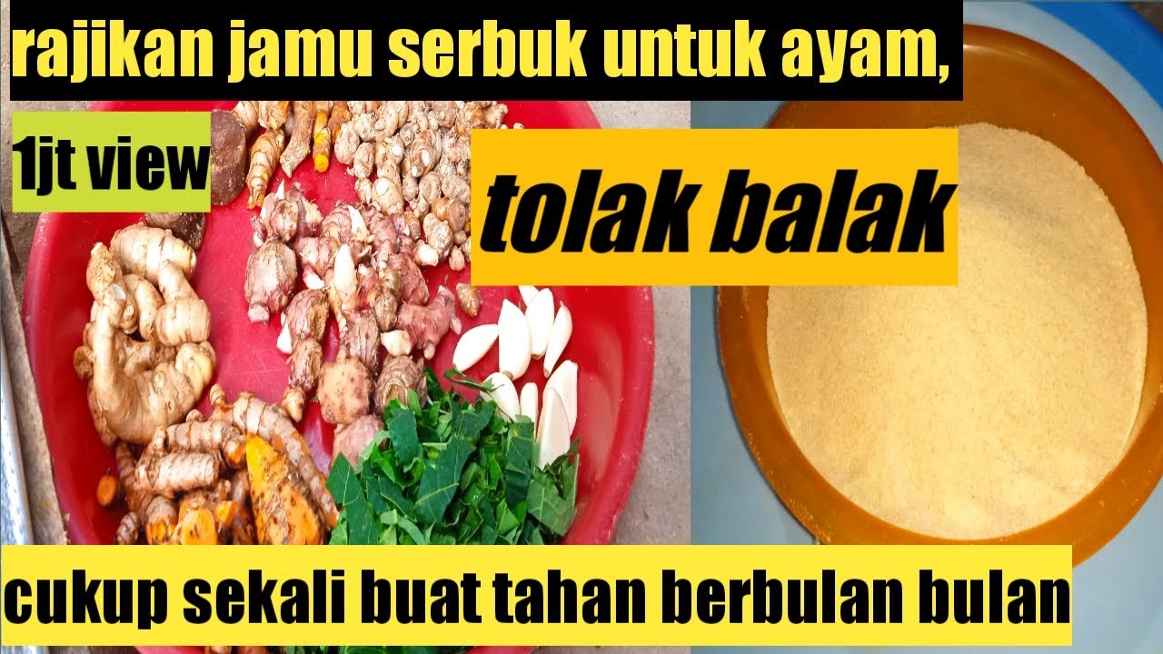 TUTORIAL MEMBUAT JAMU SERBUK UNTUK AYAM || MUDAH.! - YouTube