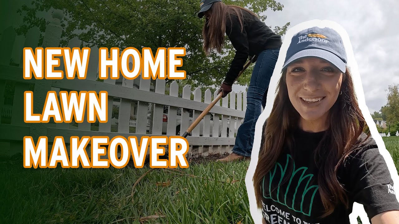 Transforming Our Yard: From Overgrown Landscaping to a Lush Lawn - YouTube