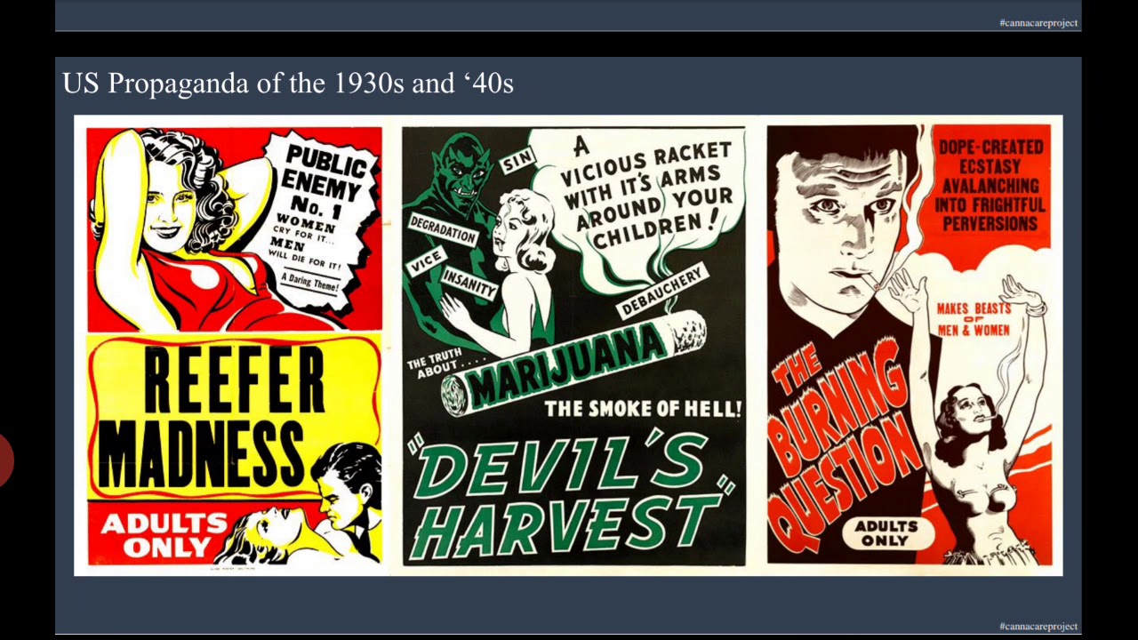 'Harry' Anslinger: 1st Cannabis Prohibitionist's Racist Rants - YouTube